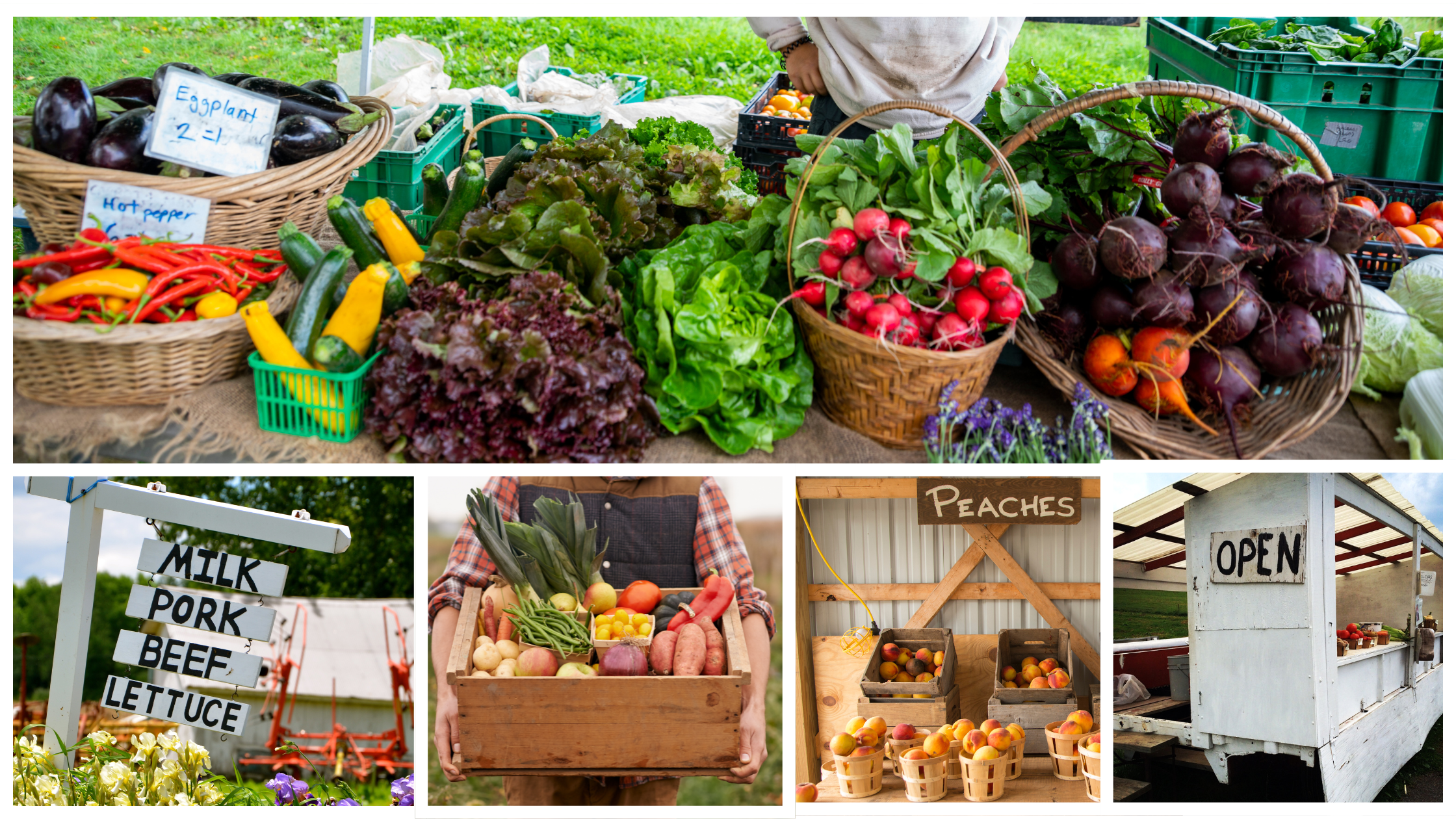 FarmStandGo - Find Local Farm Stands & Fresh Produce Near You